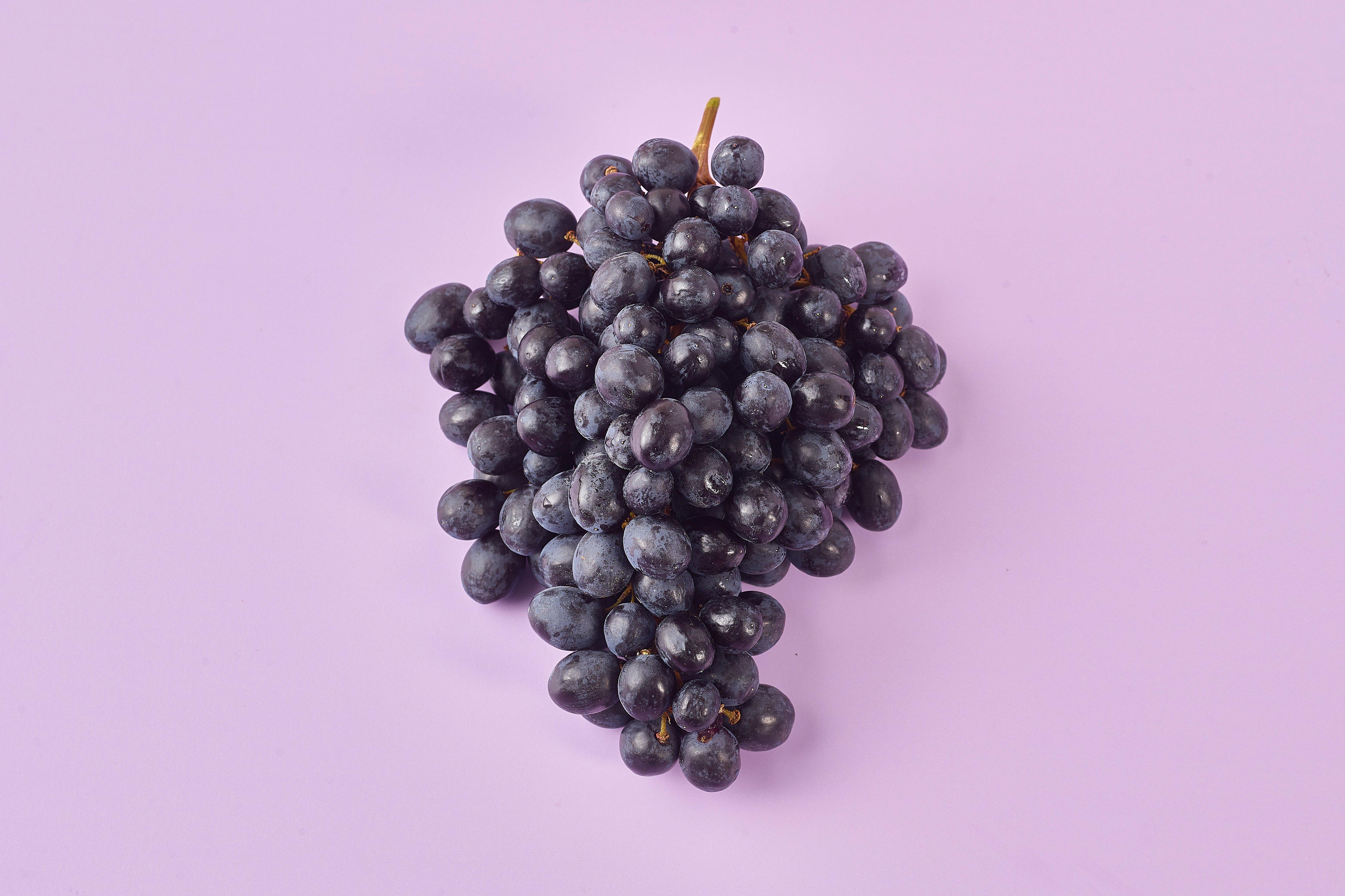 Sable Black Grapes Wholesale Buy Sable Black Grapes in Bulk Brakes Foodservice