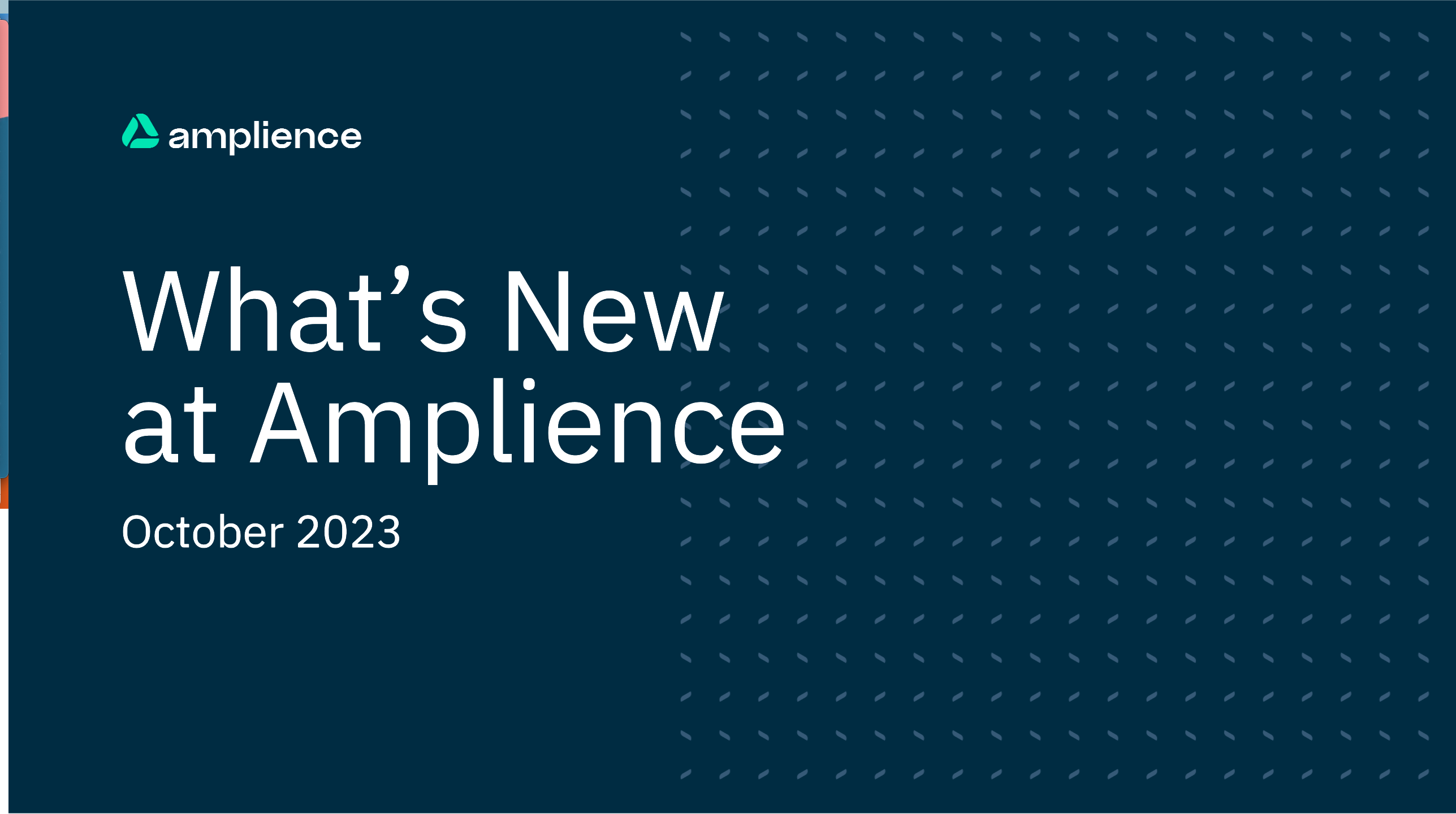 What's New at Amplience?