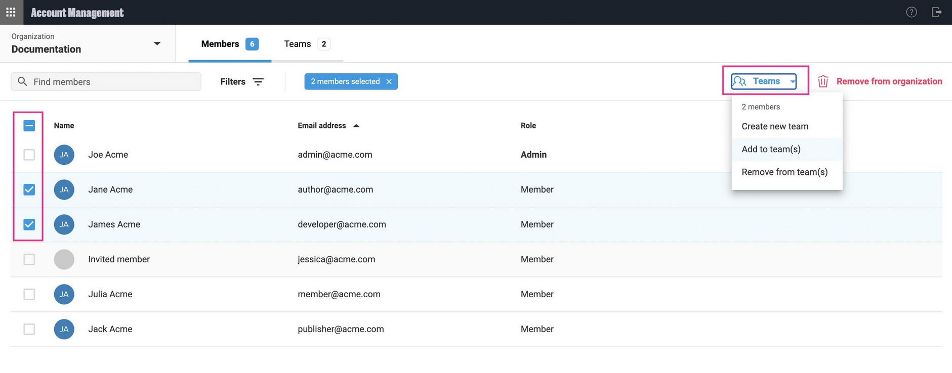 Overview | Amplience Developer Portal