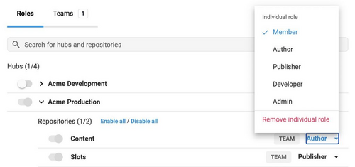 Setting permissions | Amplience Developer Portal