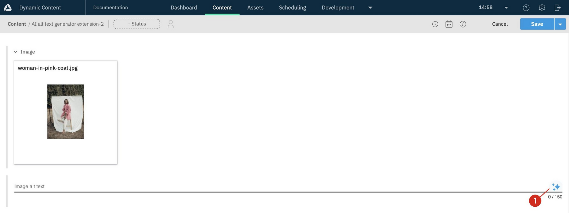 Content Field Extensions | Amplience Developer Portal