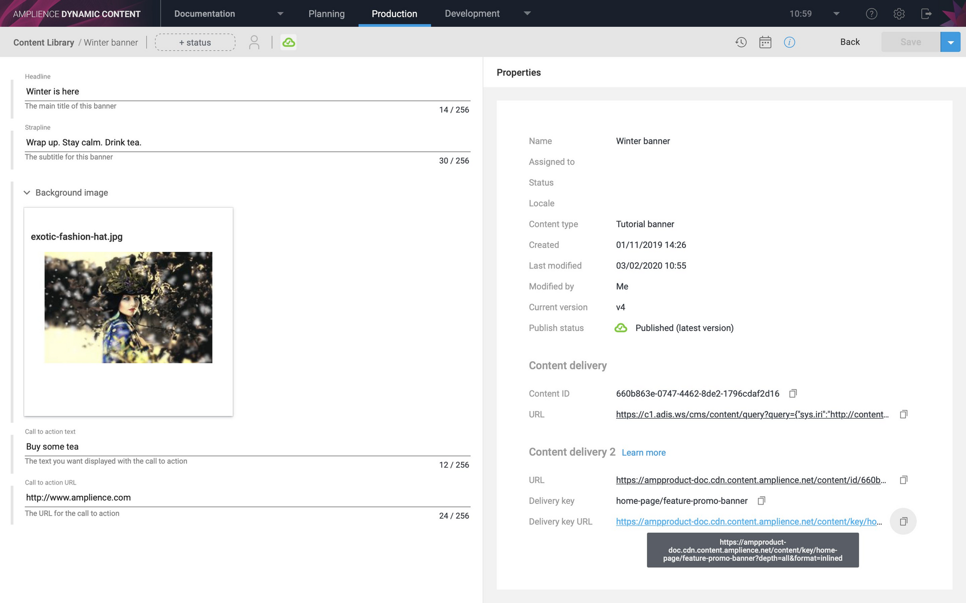 Delivery keys | Amplience Developer Portal