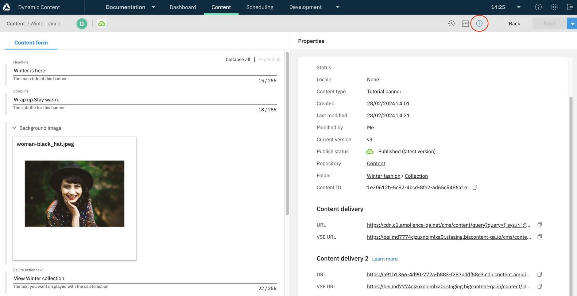 Creating content | Amplience Developer Portal