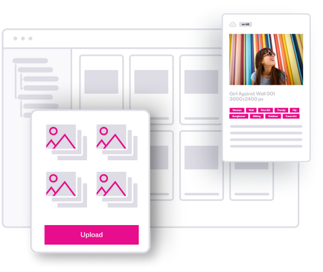 User Guides | Amplience Developer Portal