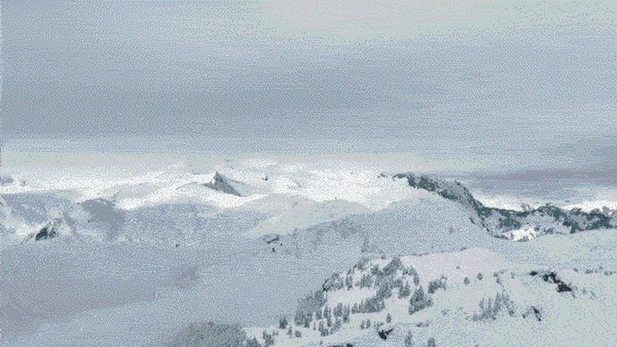 Tree well and Snow Immersion Safety: How to manage when stuck ...