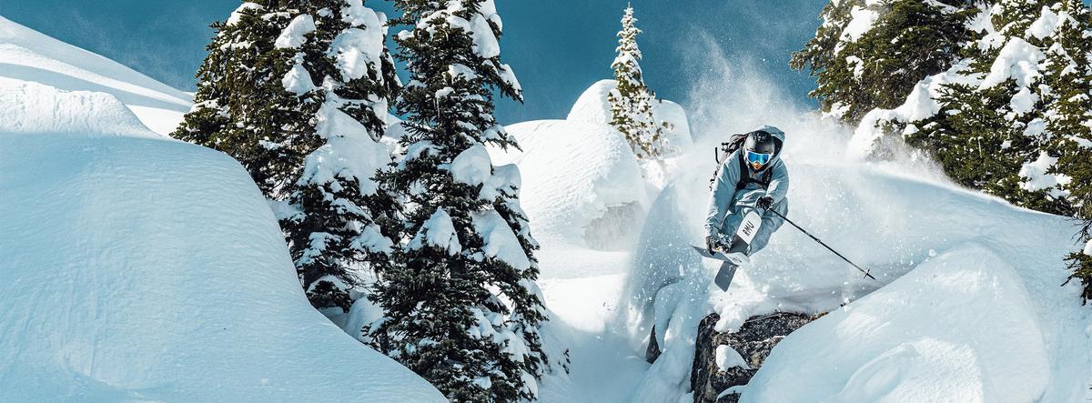 BCA | Wiley Miller in "Zorro the Fox"