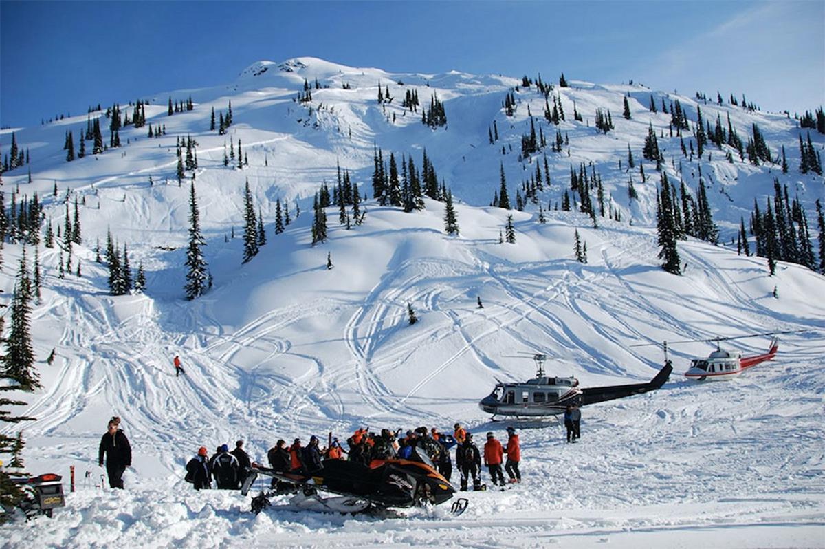 Site Control, Renegade Signals and Cat Herding: The Importance of ...