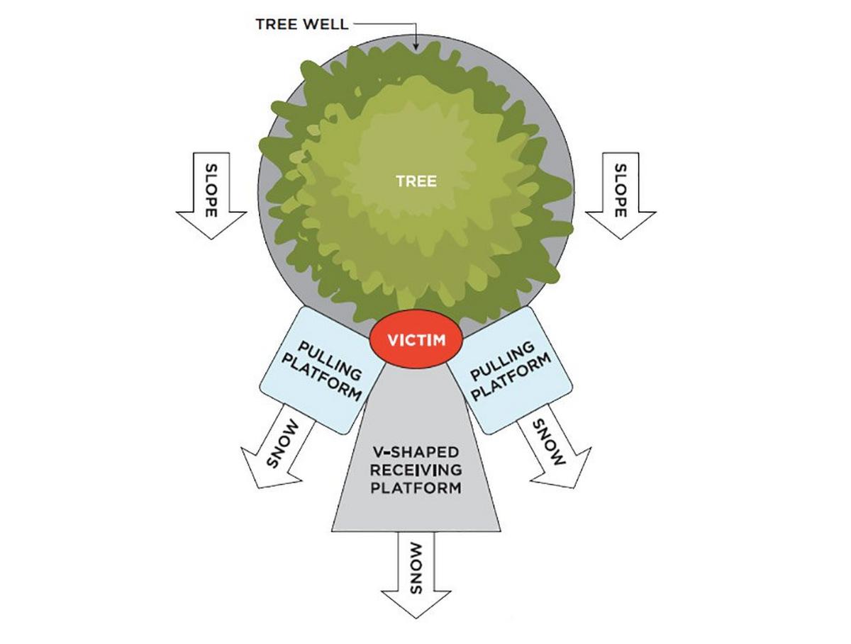 IT’S GETTING DEEP! LEARN TREE WELL SAFETY AND EXTRICATION ...