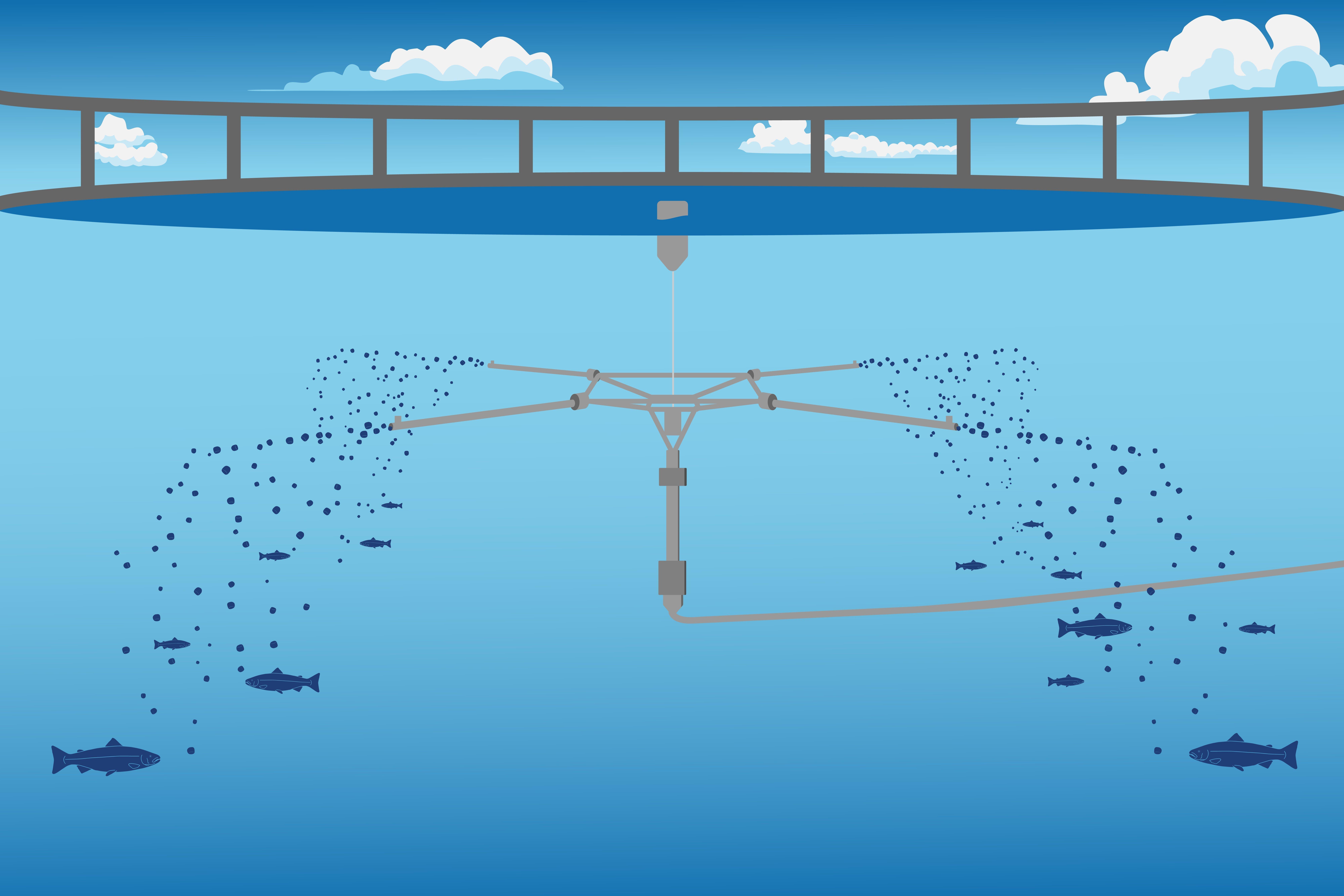 BioMar explores ideal aquafeed for use in Waterborne Feeding for Salmon ...