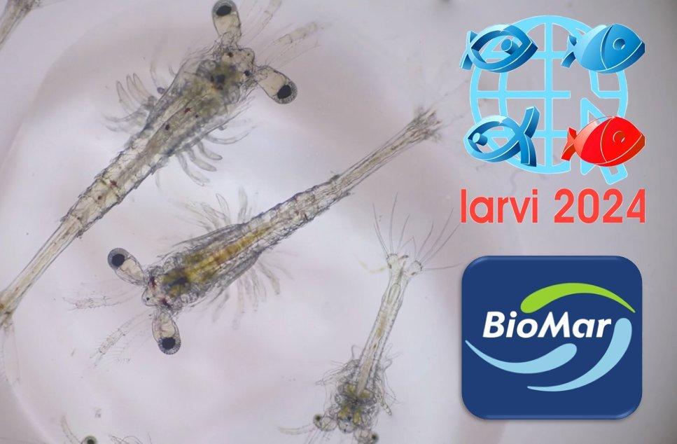 BioMar Gold Sponsor of the 2024 LARVI Conference | BioMar