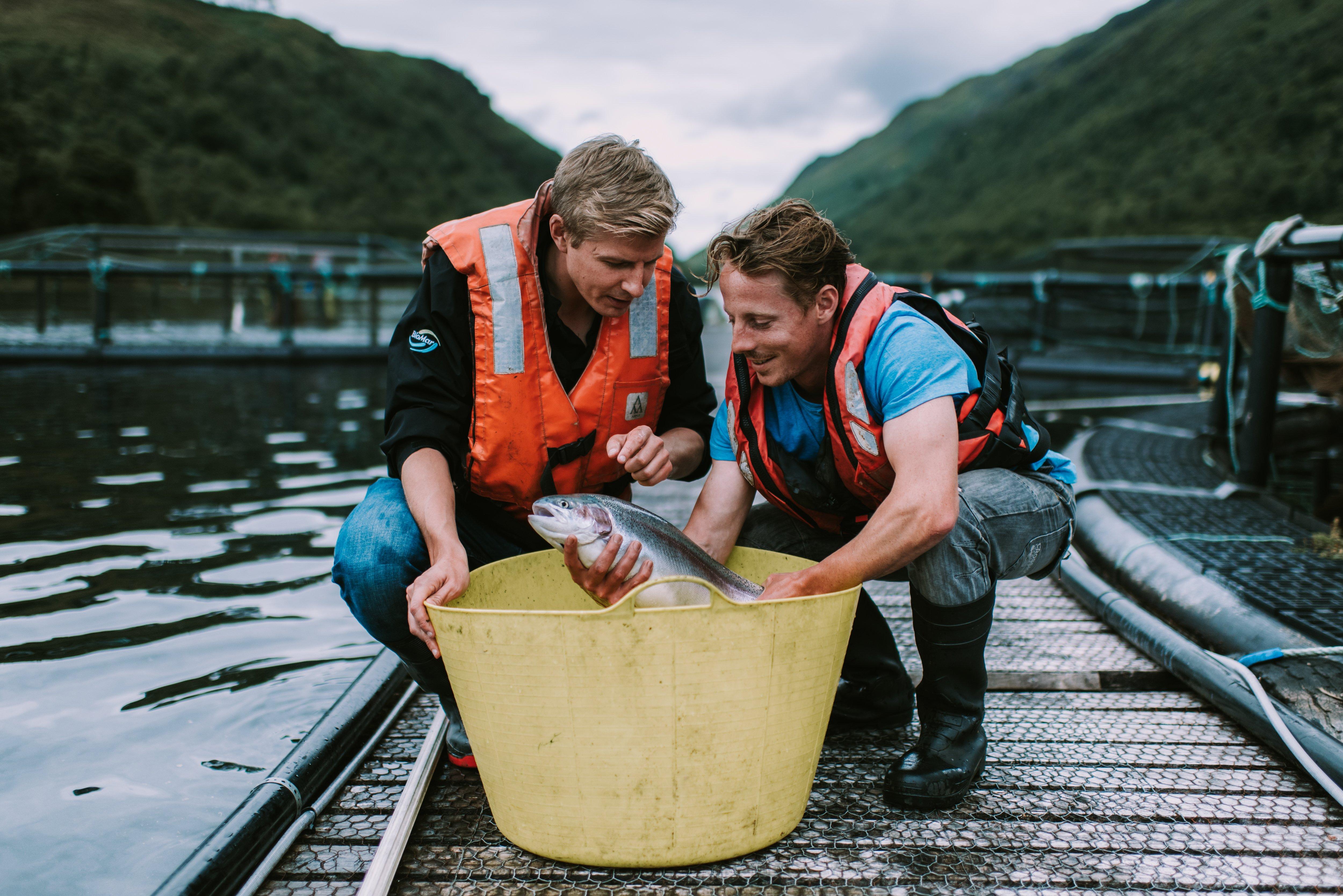 Transfer to the sea | BioMar