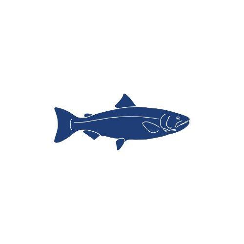 Coho Salmon | BioMar