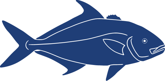 Longfin Yellowtail | BioMar