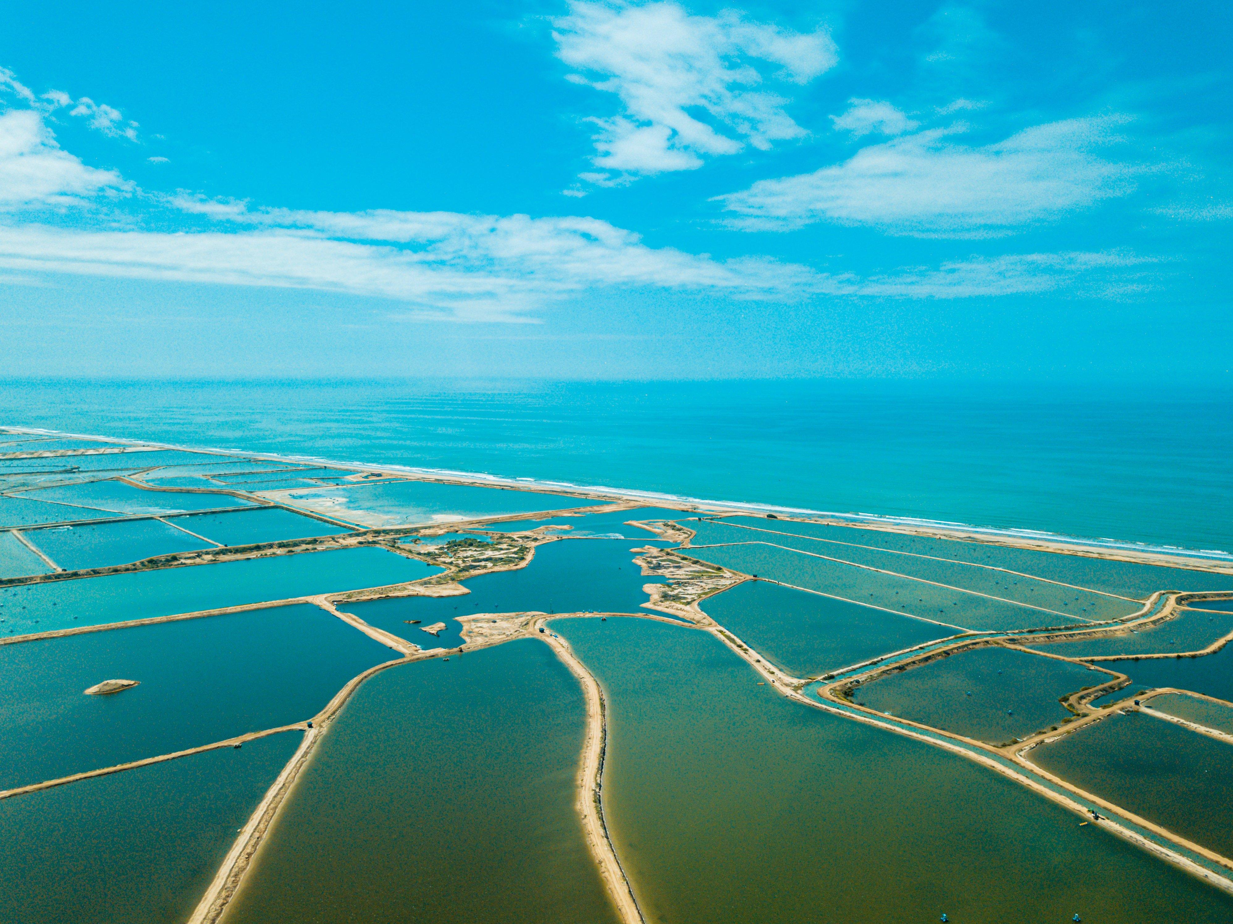 Bubbling to the Surface: Rethinking Shrimp Pond Emissions | BioMar