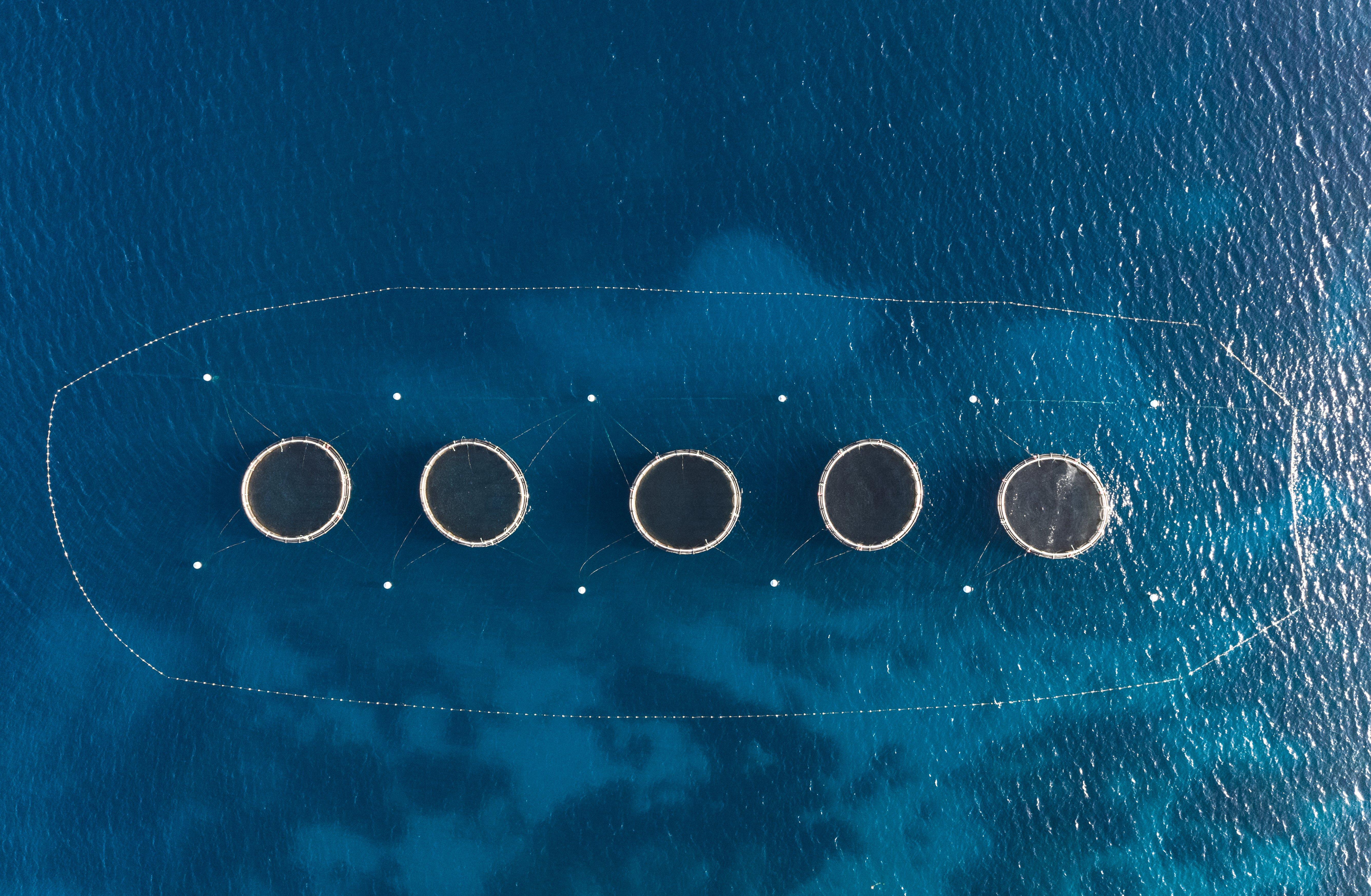 Insights | BioMar