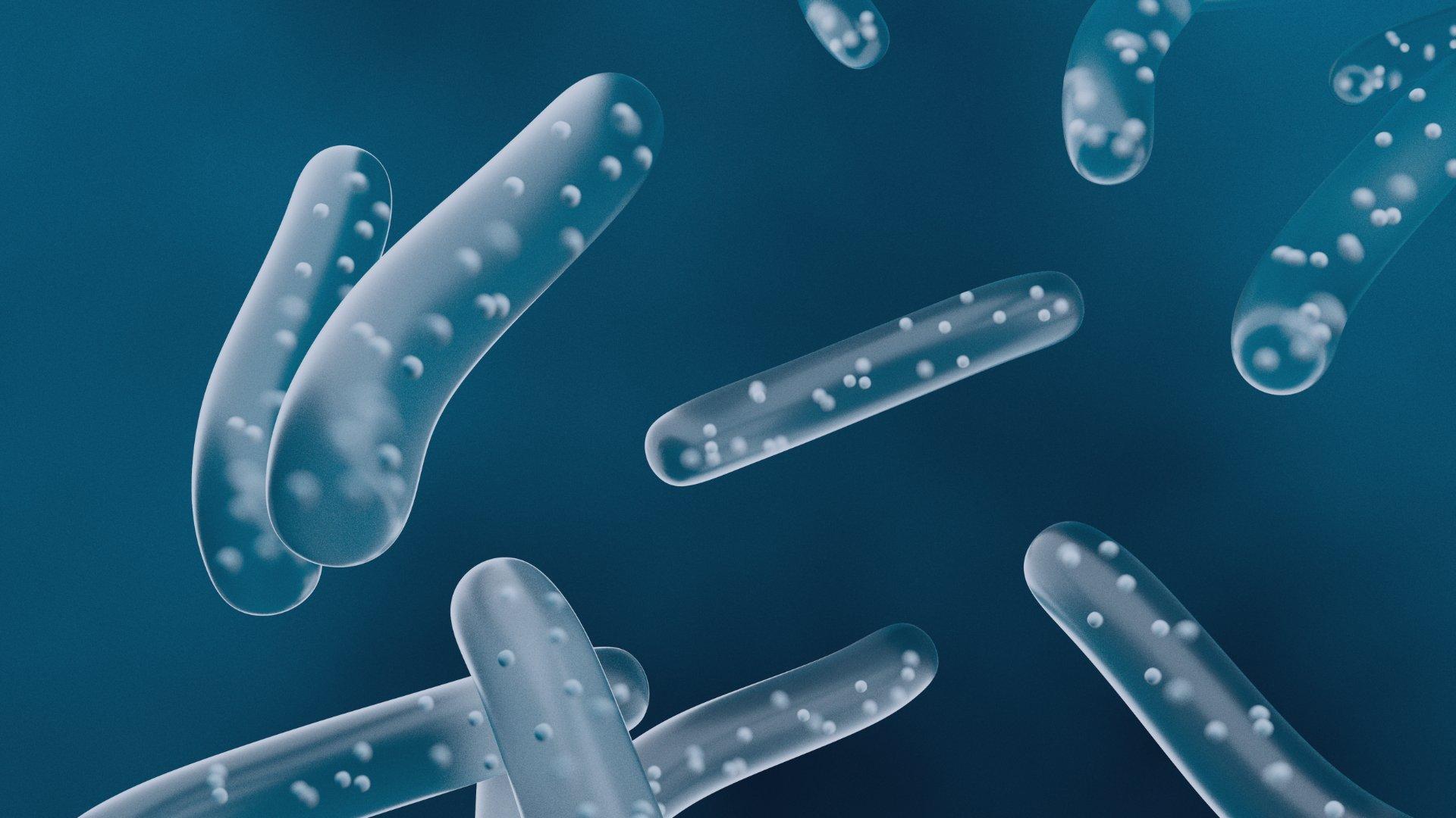 Celebrating 15 Years of Innovation: BioMar's Exclusive Partnership with ...