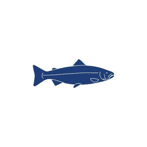 Triploid Salmon | BioMar
