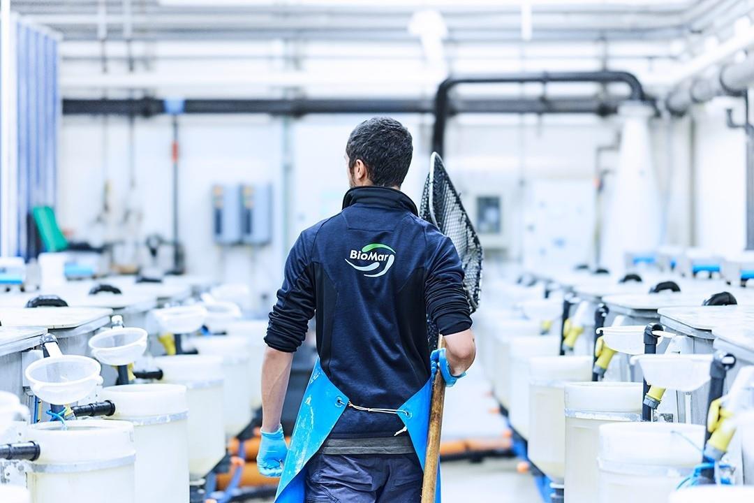BioMar further invests in LARVIVA hatchery feed success | BioMar BioMar further invests in LARVIVA hatchery feed success | BioMar