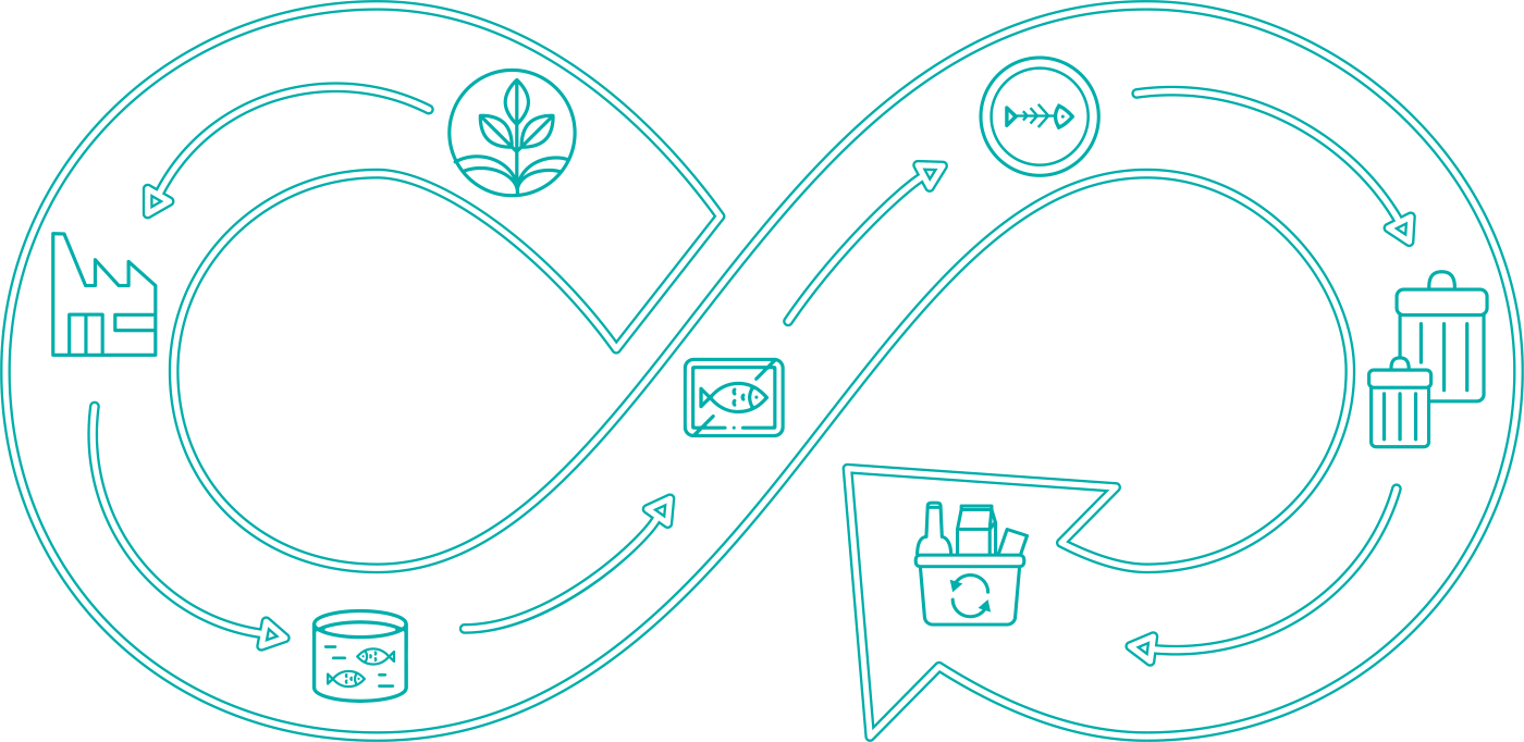 Circular Economy Thinking