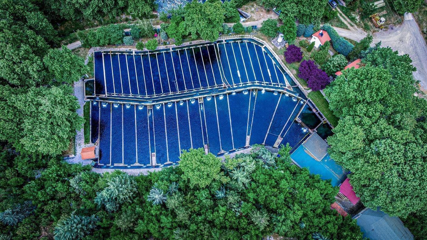 Dosnica fish farm boosts business with BioMar feeds | BioMar