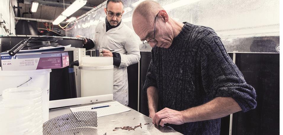 Driven by Innovation | BioMar