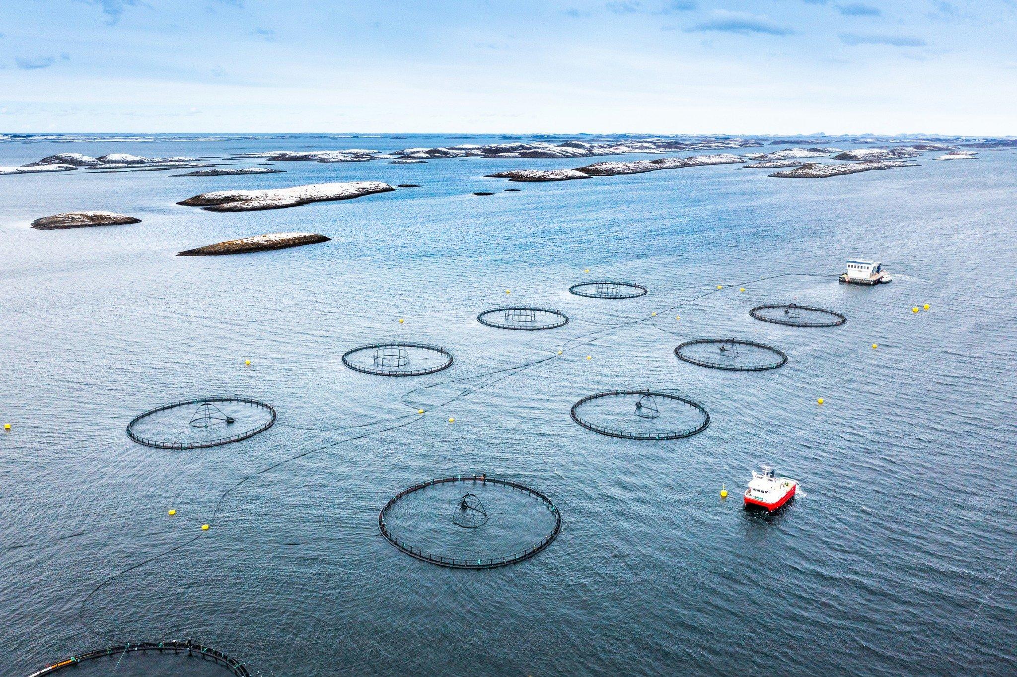 BioMar acquires full ownership of leading Norwegian research centre for ...