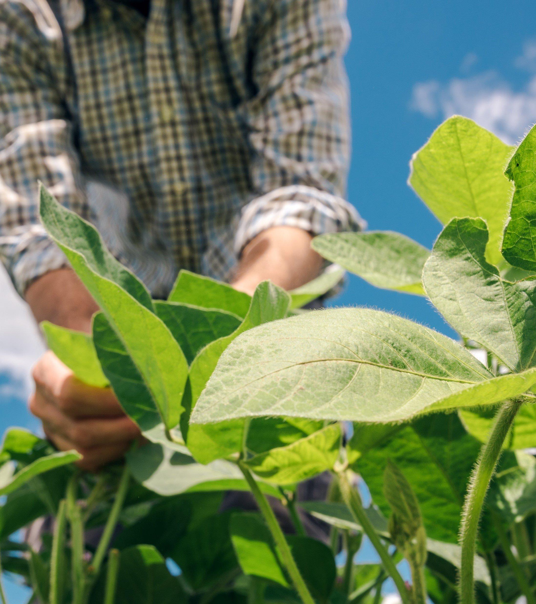 The BioMar new deal | BioMar