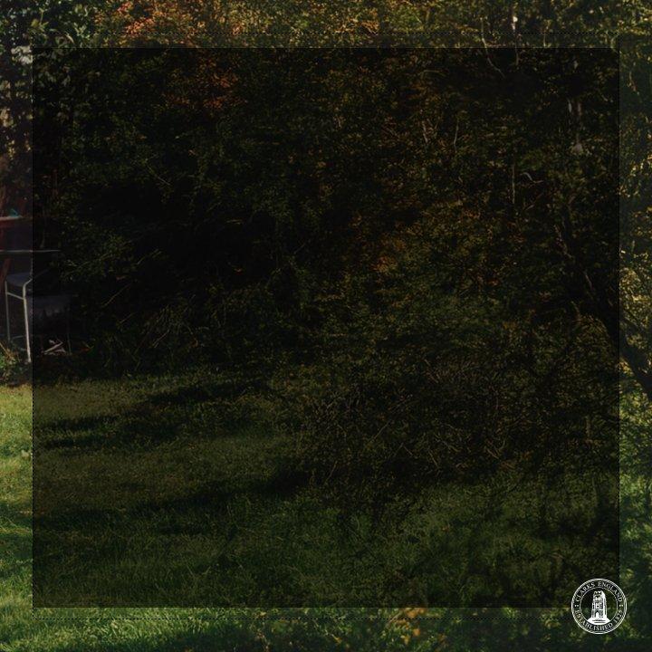 Clarks Originals - Discover Iconic Shoes & Boots | Clarks UK