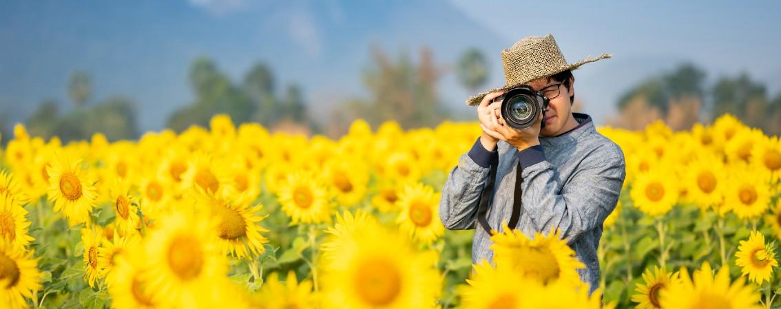 DSLR cameras: Everything you need to know | Currys