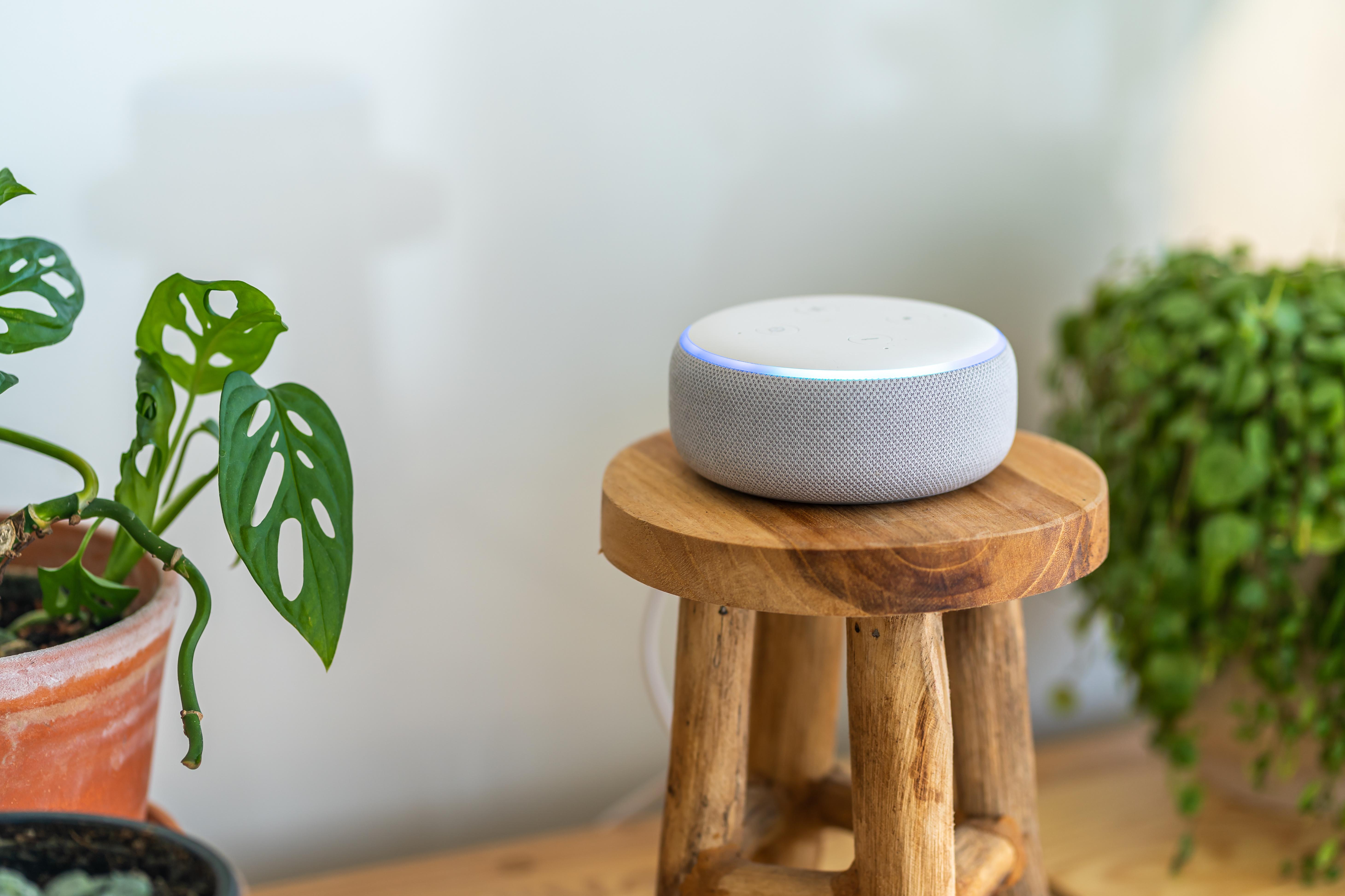 Best tips and tricks for Alexa | Currys