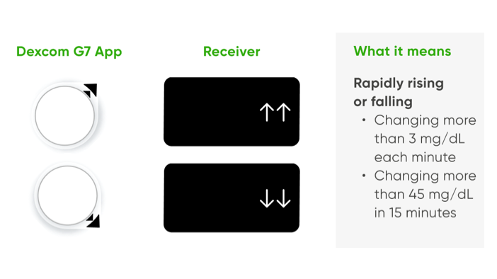 Dexcom G7 Arrow Meanings for Better Treatment Decisions | Dexcom