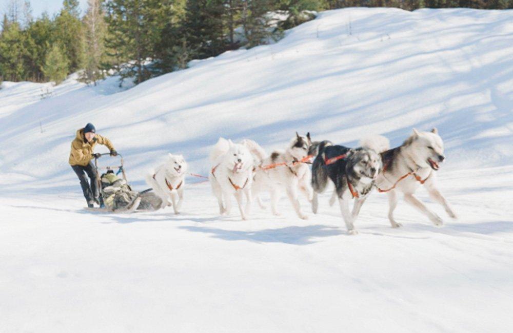 Men's Whaleback Waterproof Jacket | Duluth Trading Company