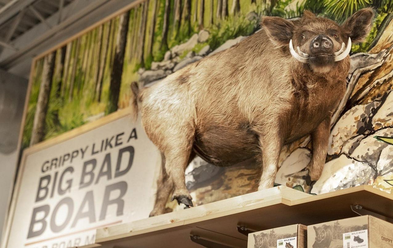 Careers | Duluth Trading Company