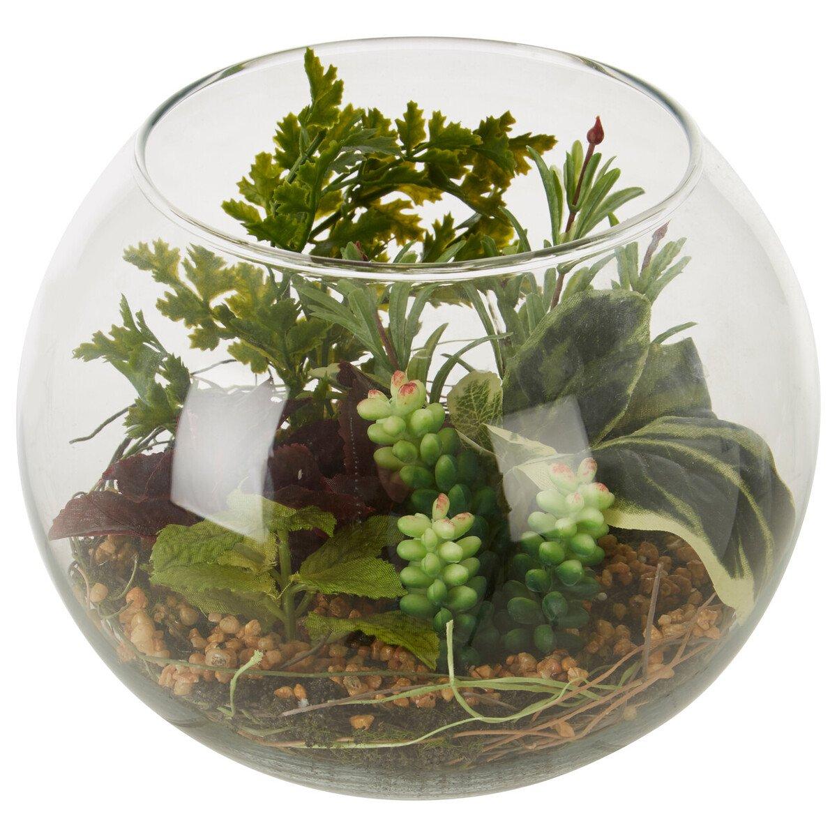 Fiori Large Glass Pot Mixed Succulent | FRASERS