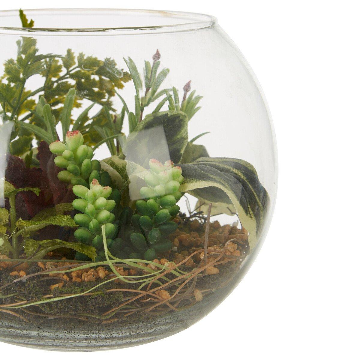Fiori Large Glass Pot Mixed Succulent | FRASERS