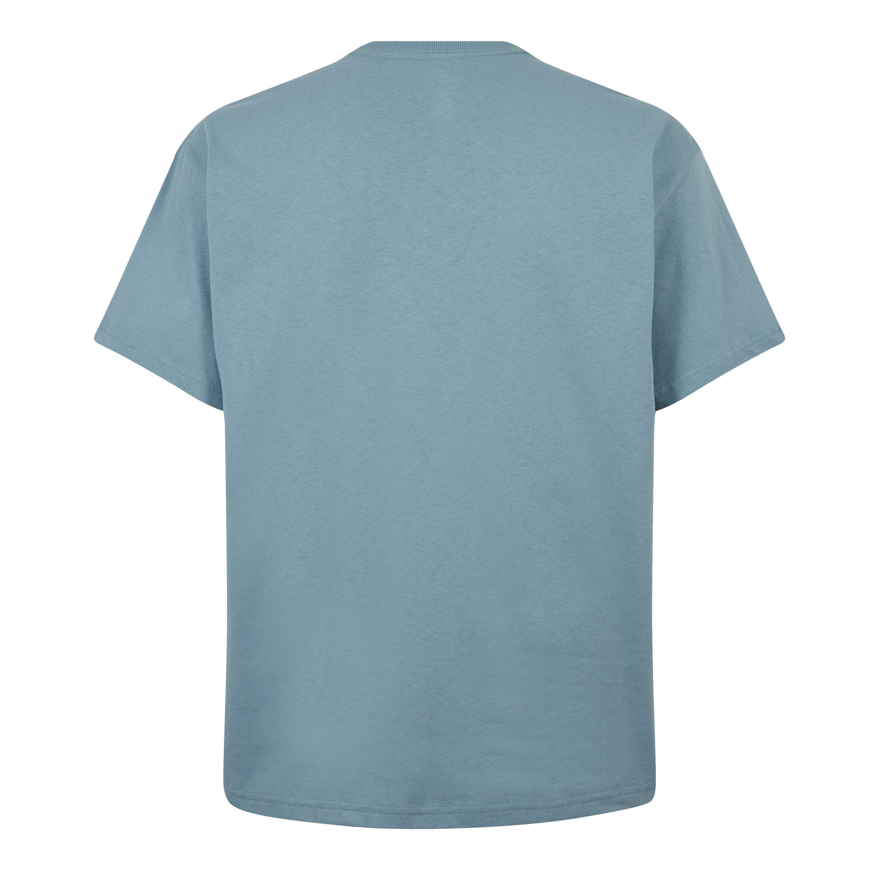 Converse Lifestyle | Men's Skate Cotton Short Sleeve T-Shirt | Regular ...