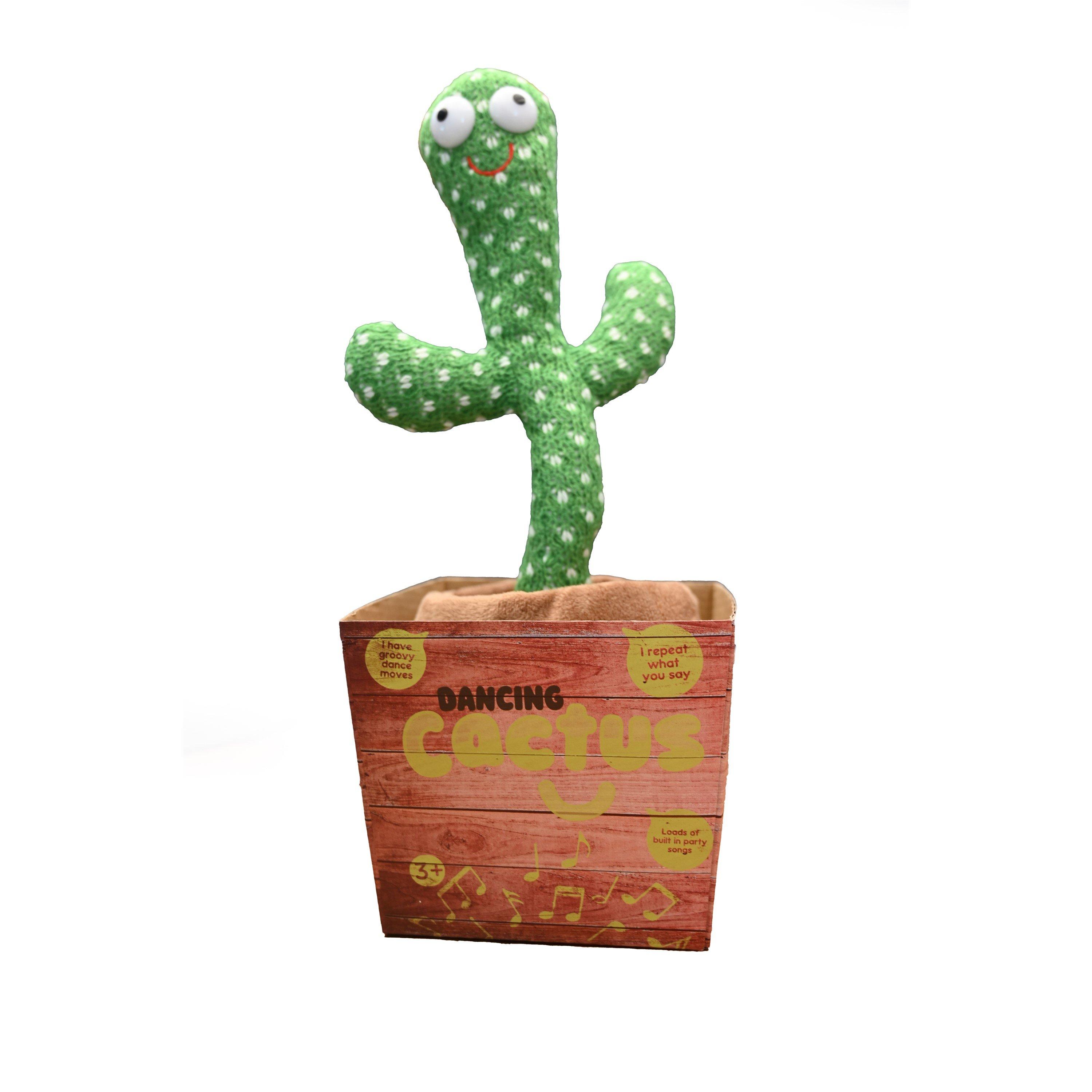 Dancing Cactus D Dancing Cactus | FRASERS