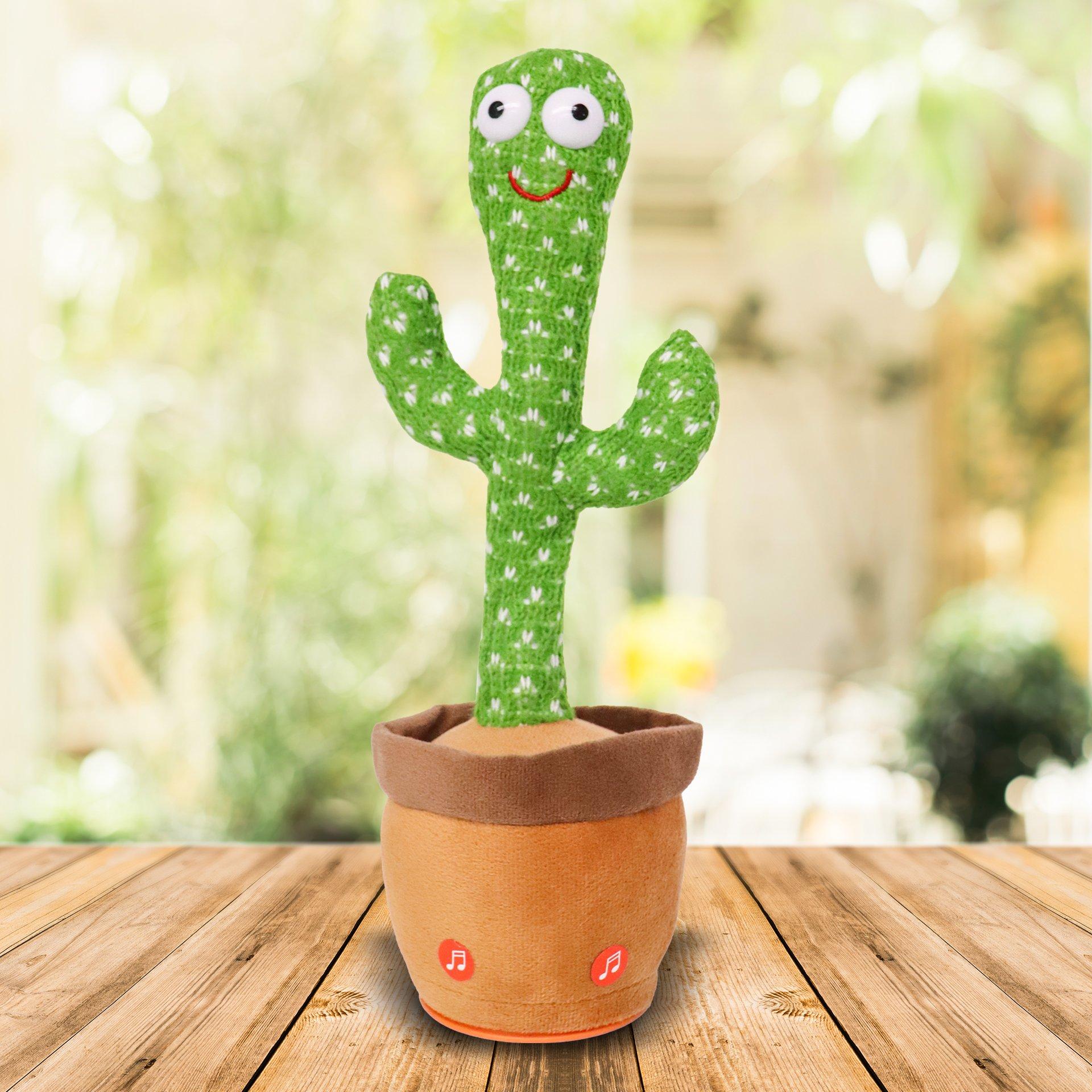 Dancing Cactus D Dancing Cactus | FRASERS