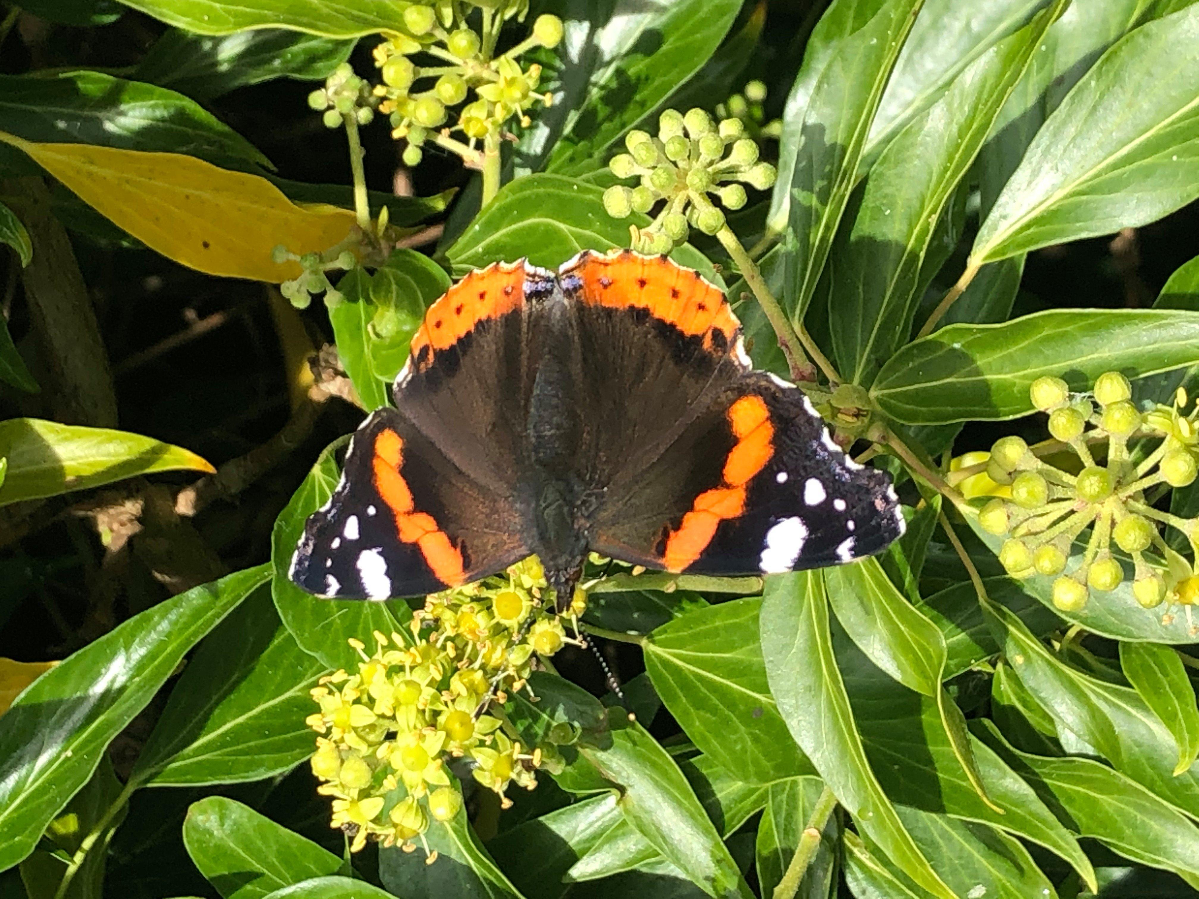 Grow | Frontier Agriculture