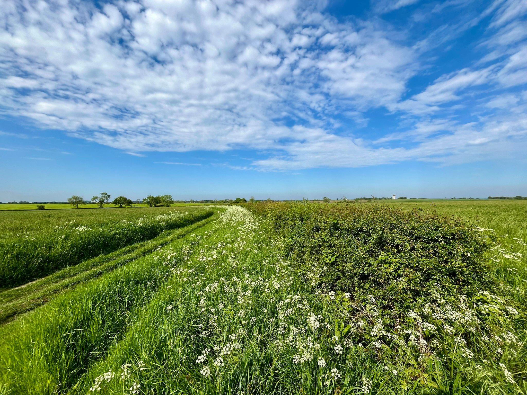 Expertise | Frontier Agriculture