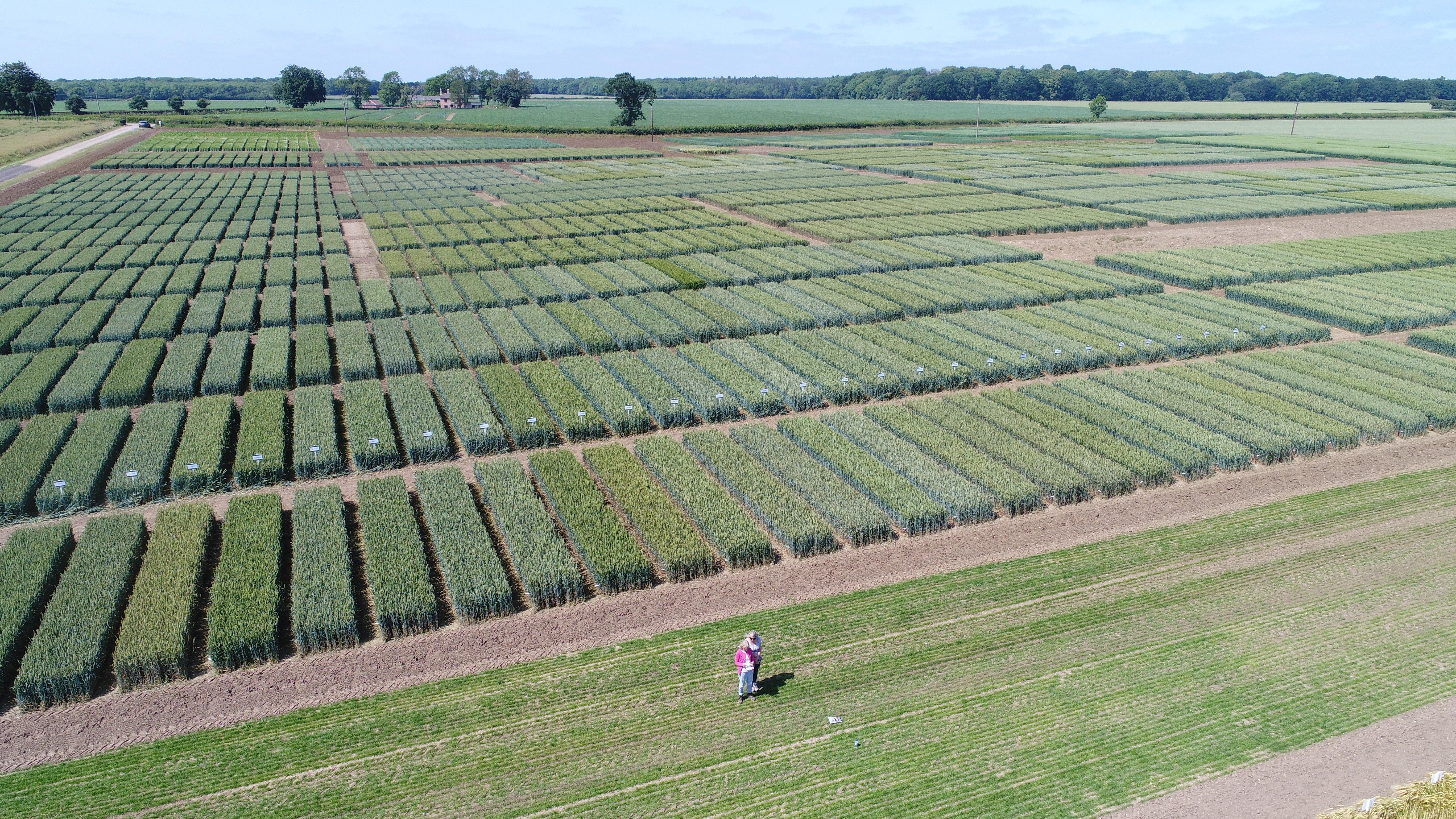 Grow | Frontier Agriculture