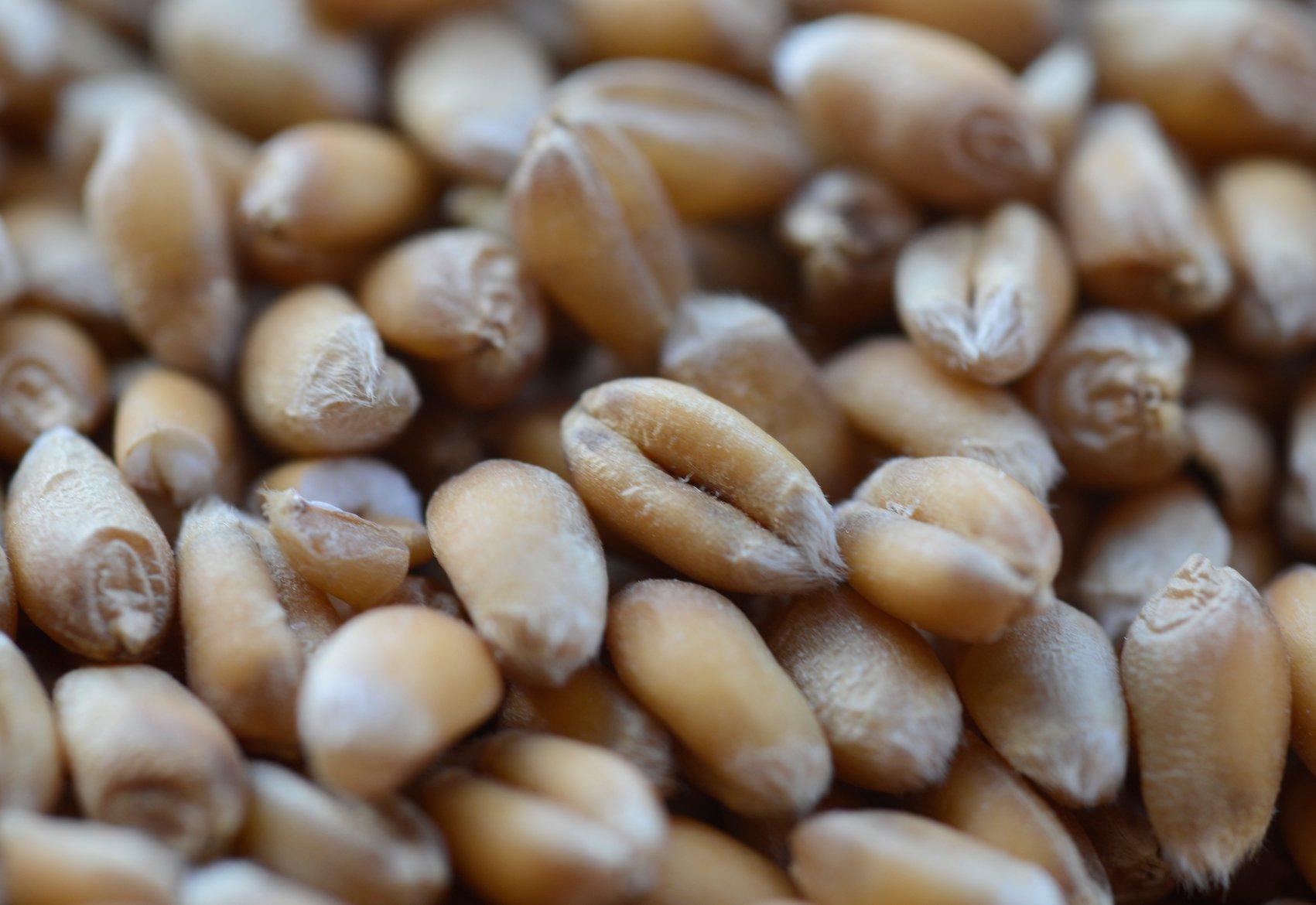 Expertise | Frontier Agriculture