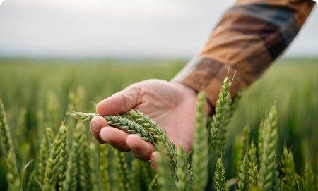 Measure & Adapt | Frontier Agriculture