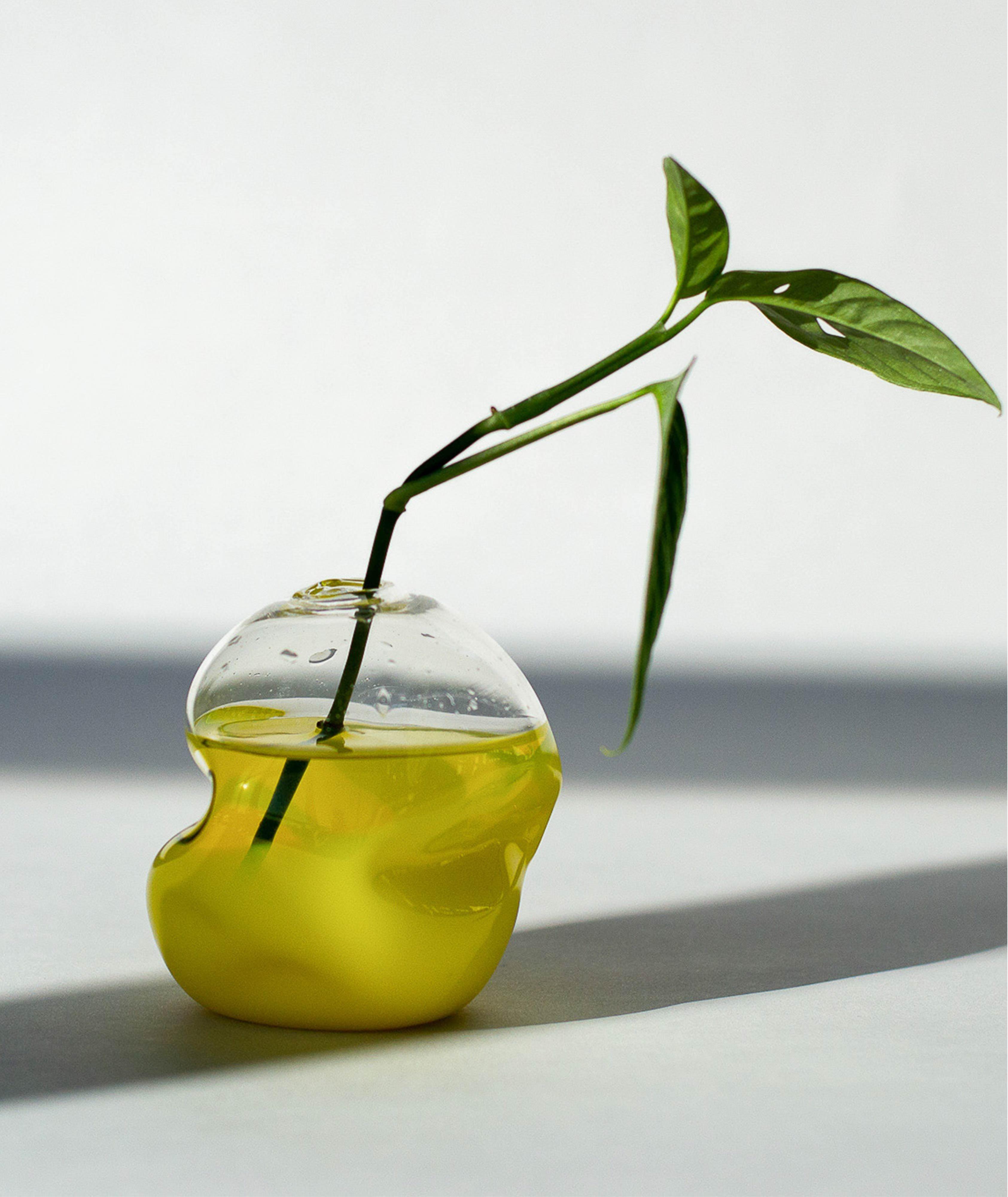 GoodBeast Splash Bottom Softie Bud Vases | Décor | Harry Rosen