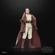 Star Wars The Black Series Jedi Master Indara - Hasbro Pulse