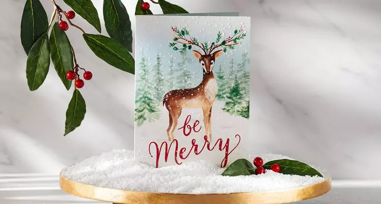 Christmas Cards | Boxed Cards & Envelopes | Hobby Lobby