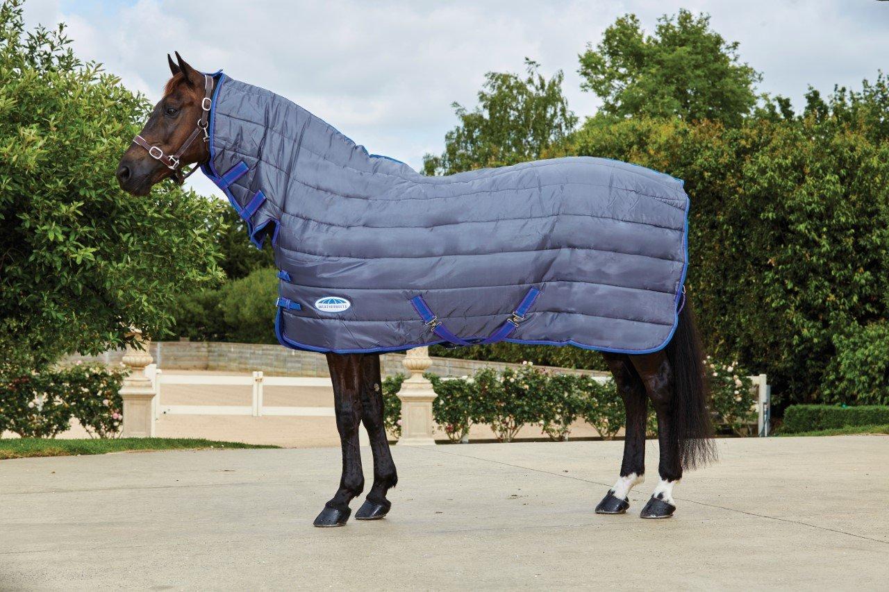 Horse Rug Guide Autumn/Winter 2016 | Naylors Blog | Naylors