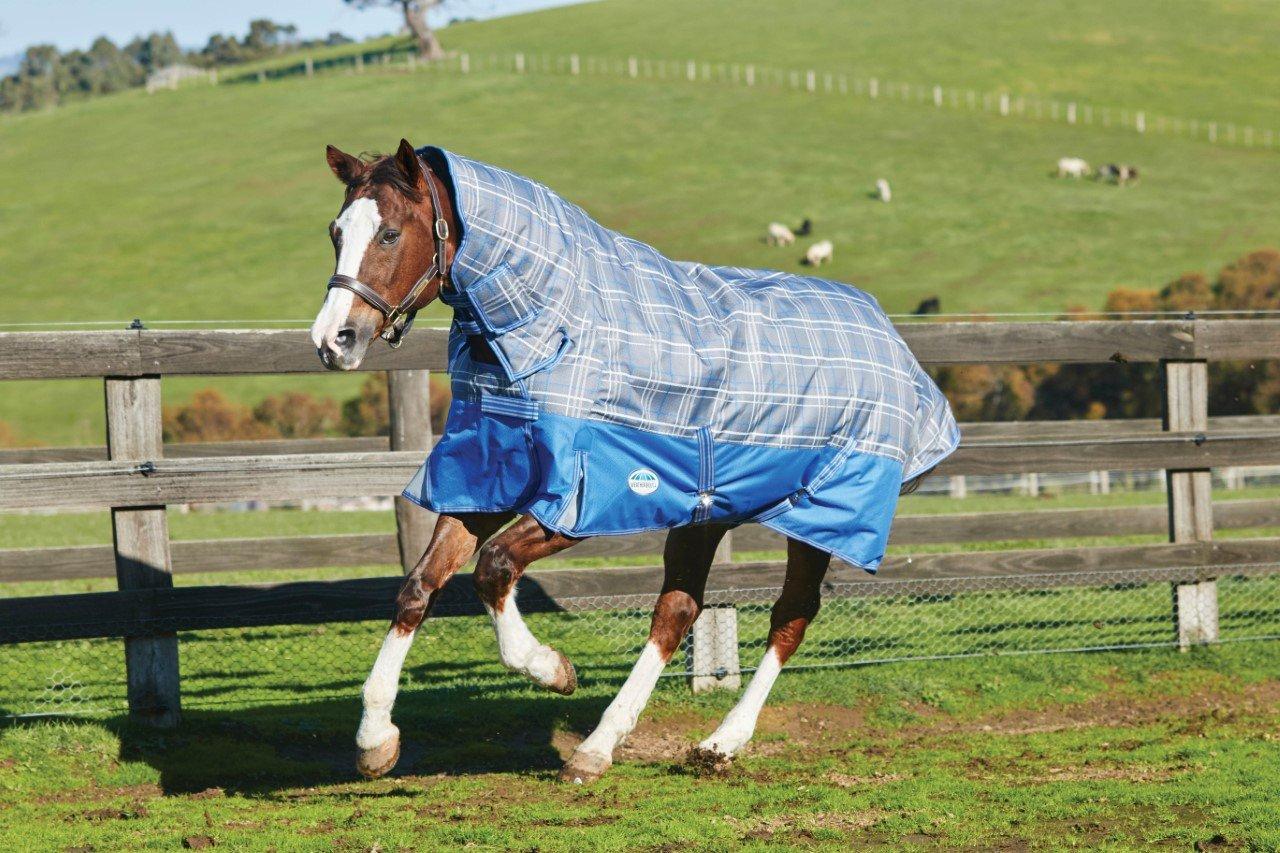 Horse Rug Guide Autumn/Winter 2016 | Naylors Blog | Naylors