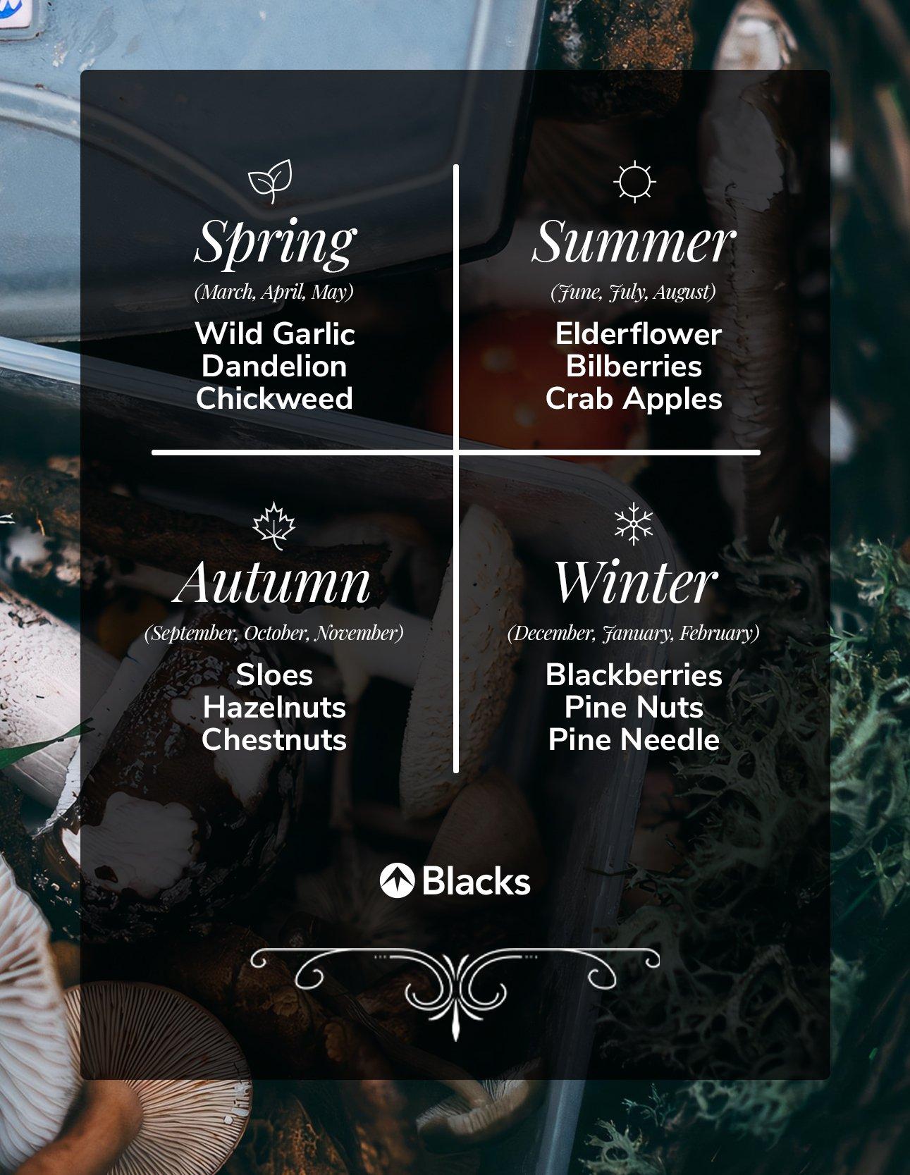 The Edible Outdoors | A Seasonal Guide to UK Foraging | Blacks