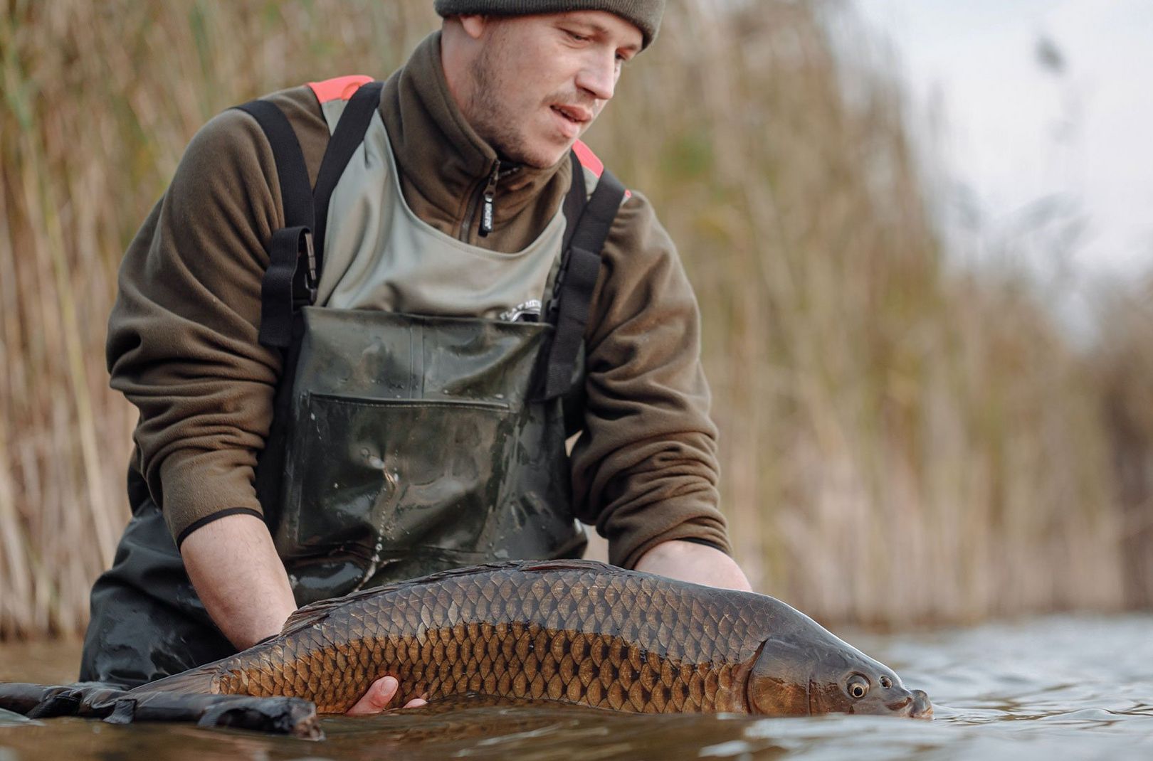 Angling Advice A Beginners Guide To The Fishing Disciplines Fishing angling-advice-a-beginners-guide-to-the-fishing-disciplines-fishing